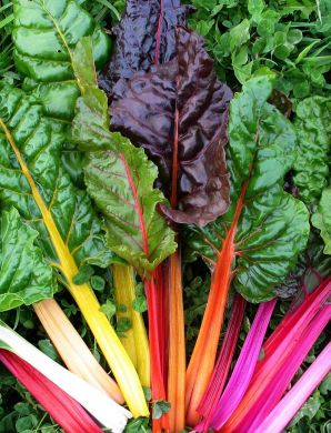 Fresh Start Farms: Recipes