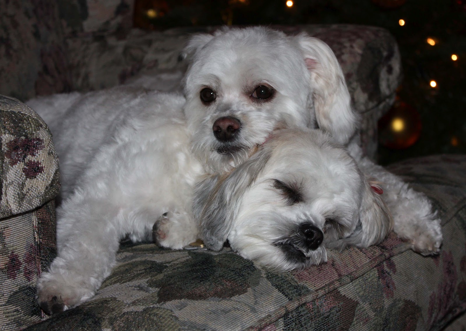 Simply Pam: About Me