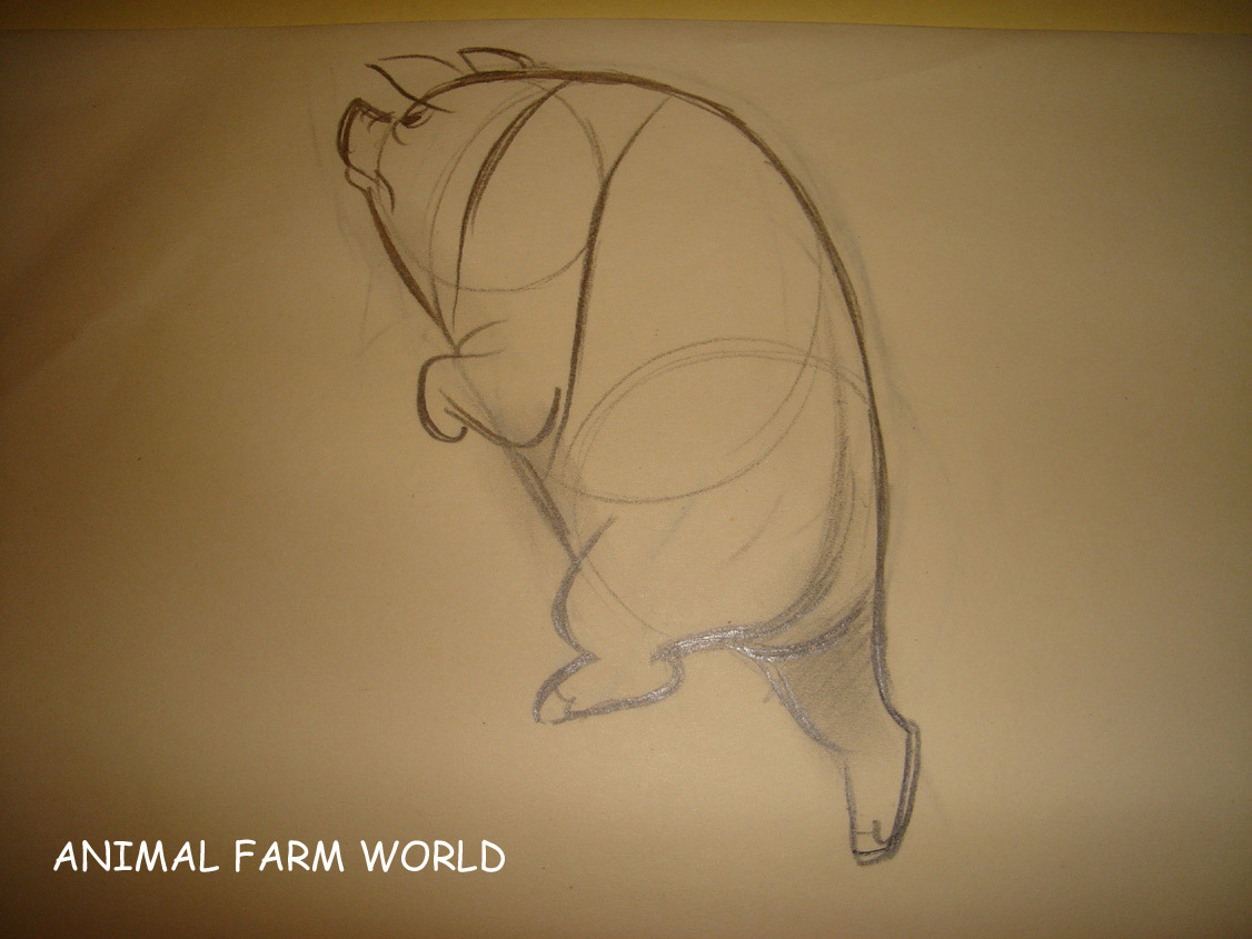 Living Lines Library: Animal Farm (1954) - Production Drawings > Animals