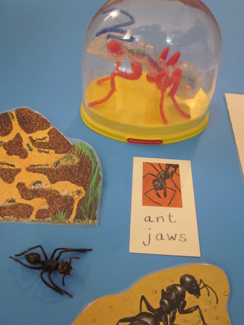 Inspired Montessori, Reggio Loose Parts, and Children's Art : Huge Unit ...