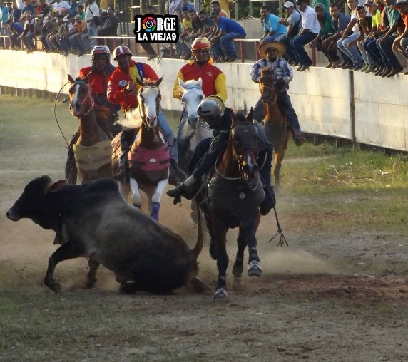 Los toros coleados navegan por aguas turbulentas al inicio del 2017 ...