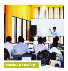 JAVA INSTITUTE: Branches network