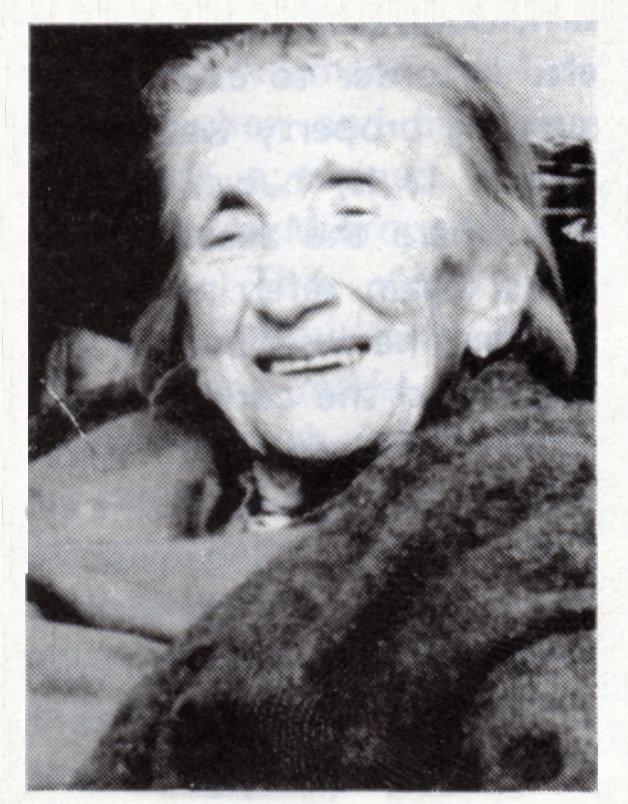 Matthew Comerford's Instagram, Twitter & Facebook on IDCrawl