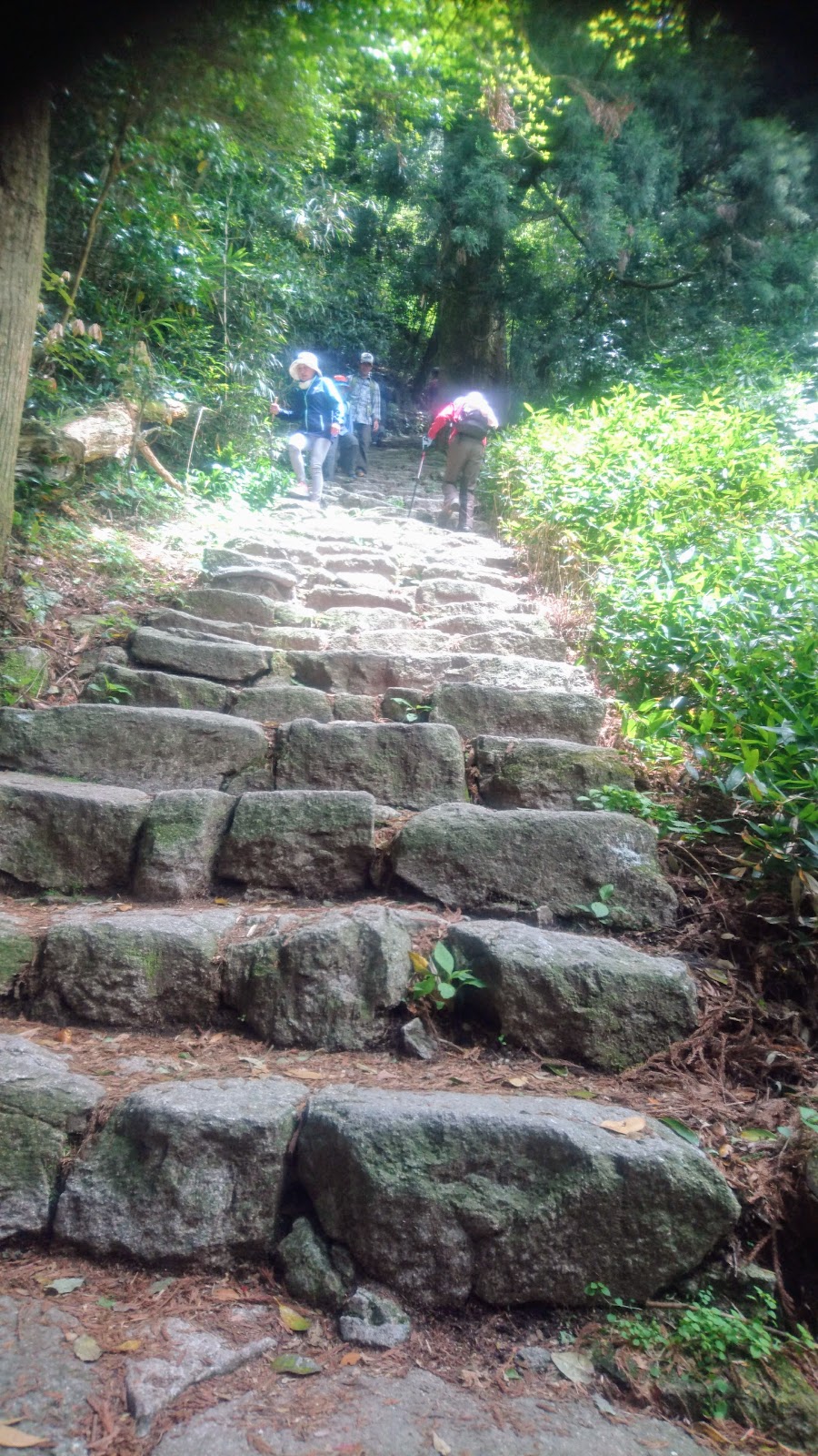ジェイ山 - Kyushu Hiking: Mt. Homan (Homanzan 宝満山) 2018.5.4