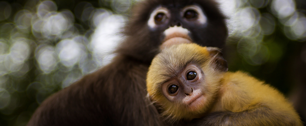 KalaAnantarupah News Channel: National Geographic Photo Contest 2011 ...