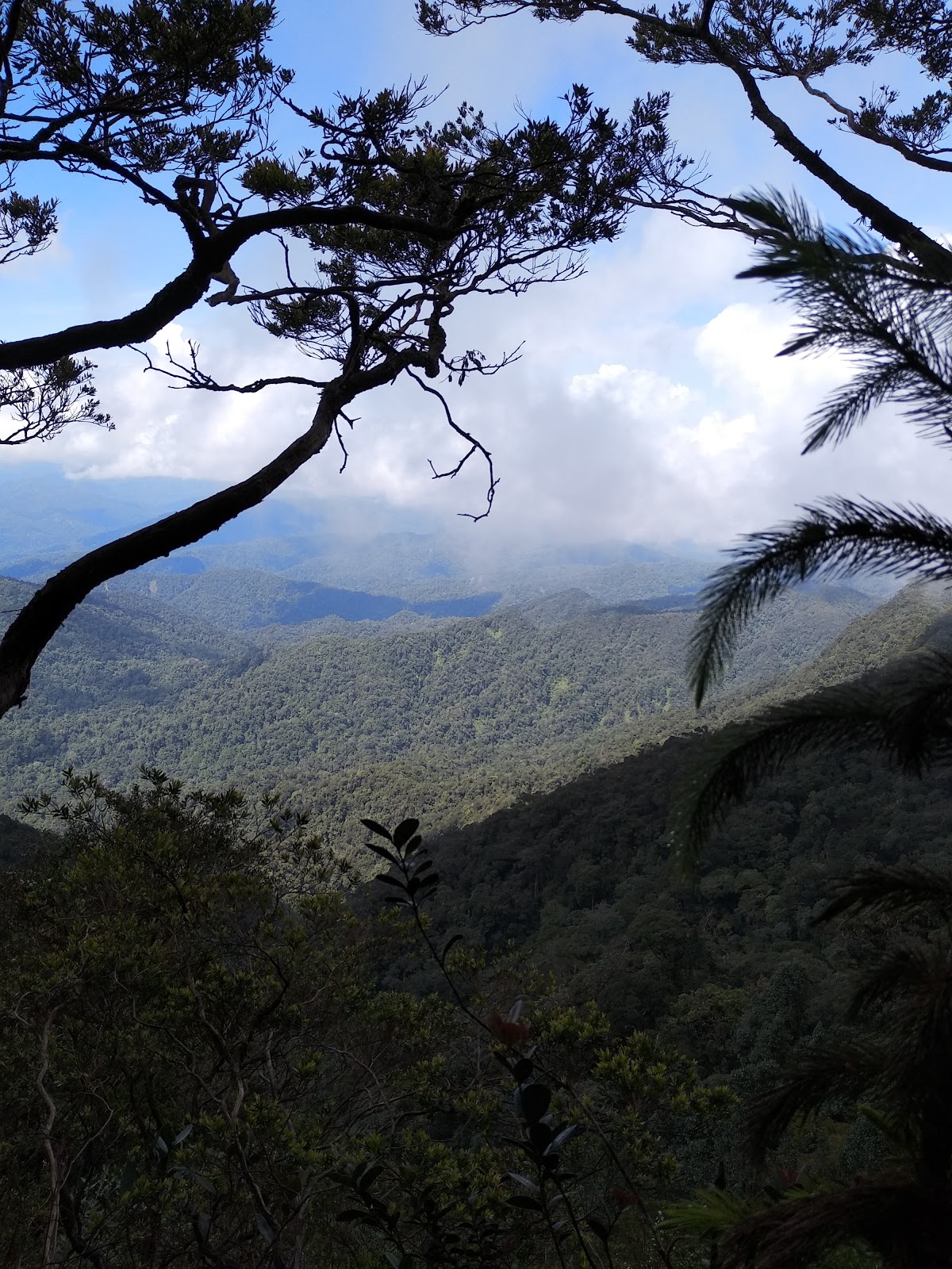 Live, where your heart finds life ツ: Gunung Rajah via KKB Daypack