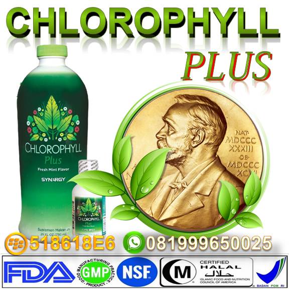 Liquid Chlorophyll Plus - PRODUK SYNERGY WORLDWIDE INDONESIA