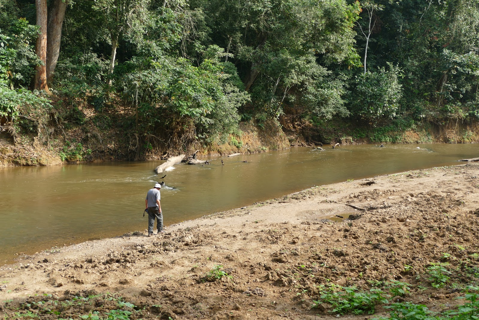 MOKELE - MBEMBE EXPEDITIONS: 2017