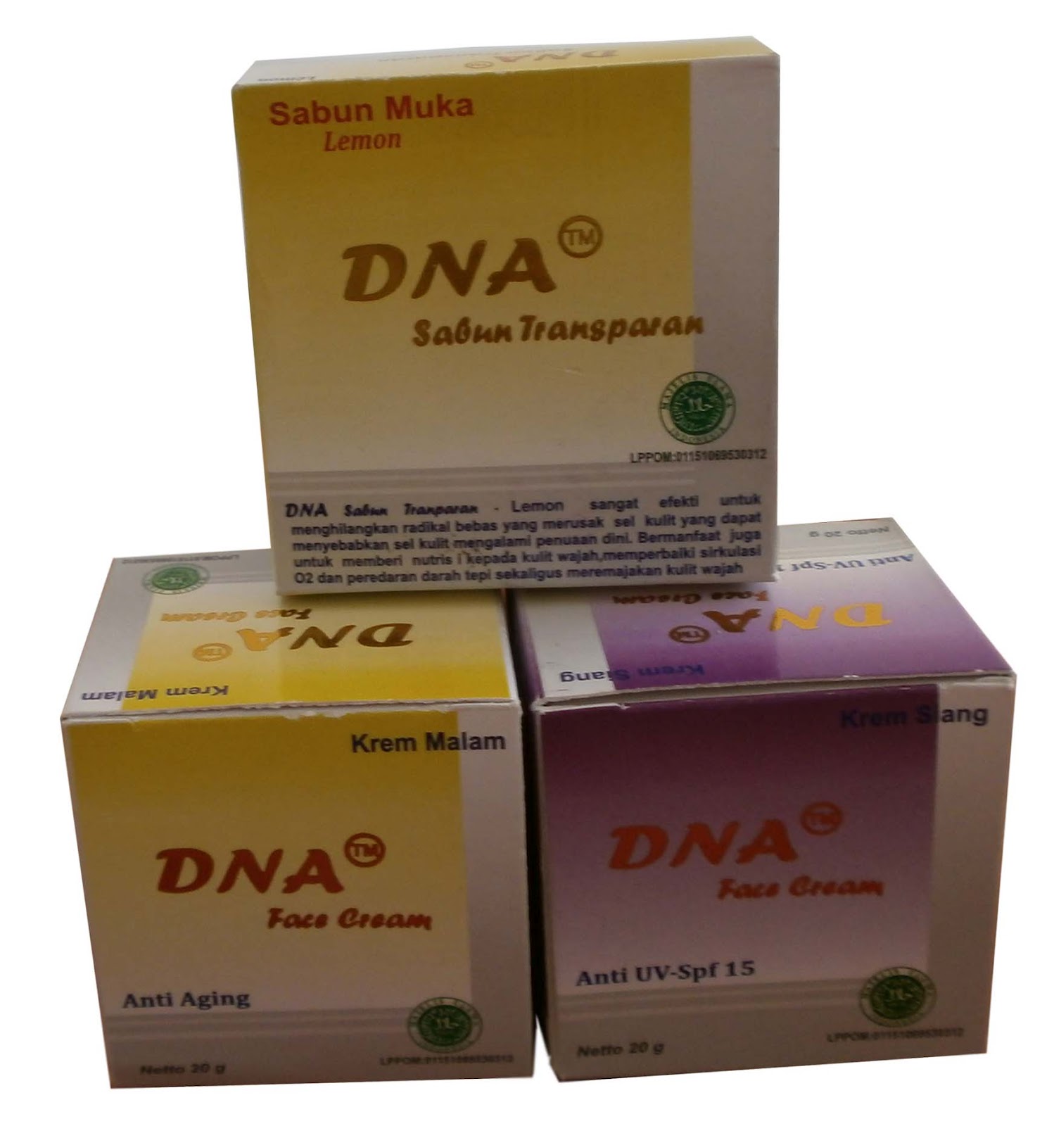 DNA FACE CREAM-PERAWATAN WAJAH ALAMI