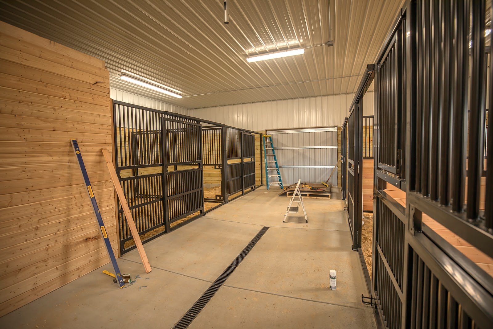 equine expressions: build-a-barn ~ stalls are up