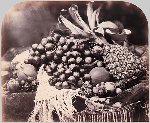 Photography Assignment 1: Assignment 1 - Applications of Photography ...