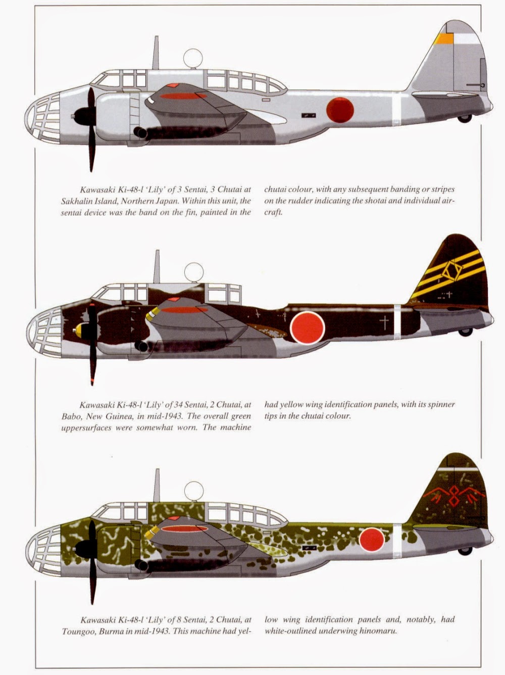 Japanese Aircraft of WWII: Kawasaki Ki-48 Redux