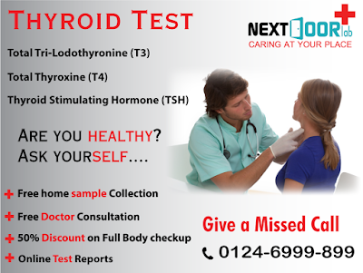 THYROID FUNCTION TEST: Essential Lab Tests for Thyroid Function and ...