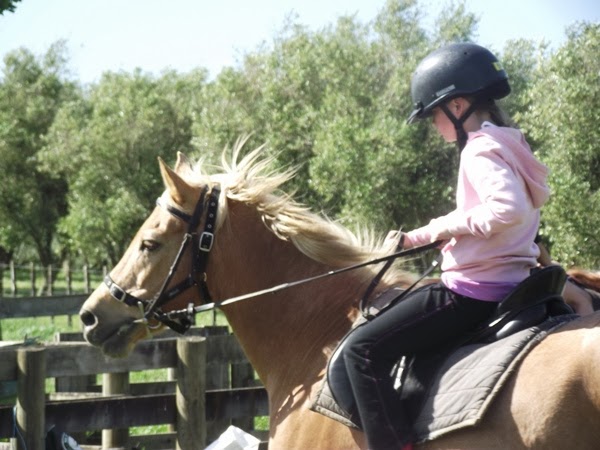 Great Fun etc: A Family Horse Riding Adventure