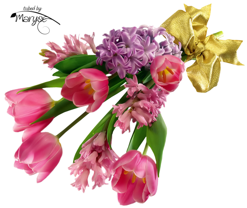 PSP Tubes & créations de Maryse: Tubes Printemps