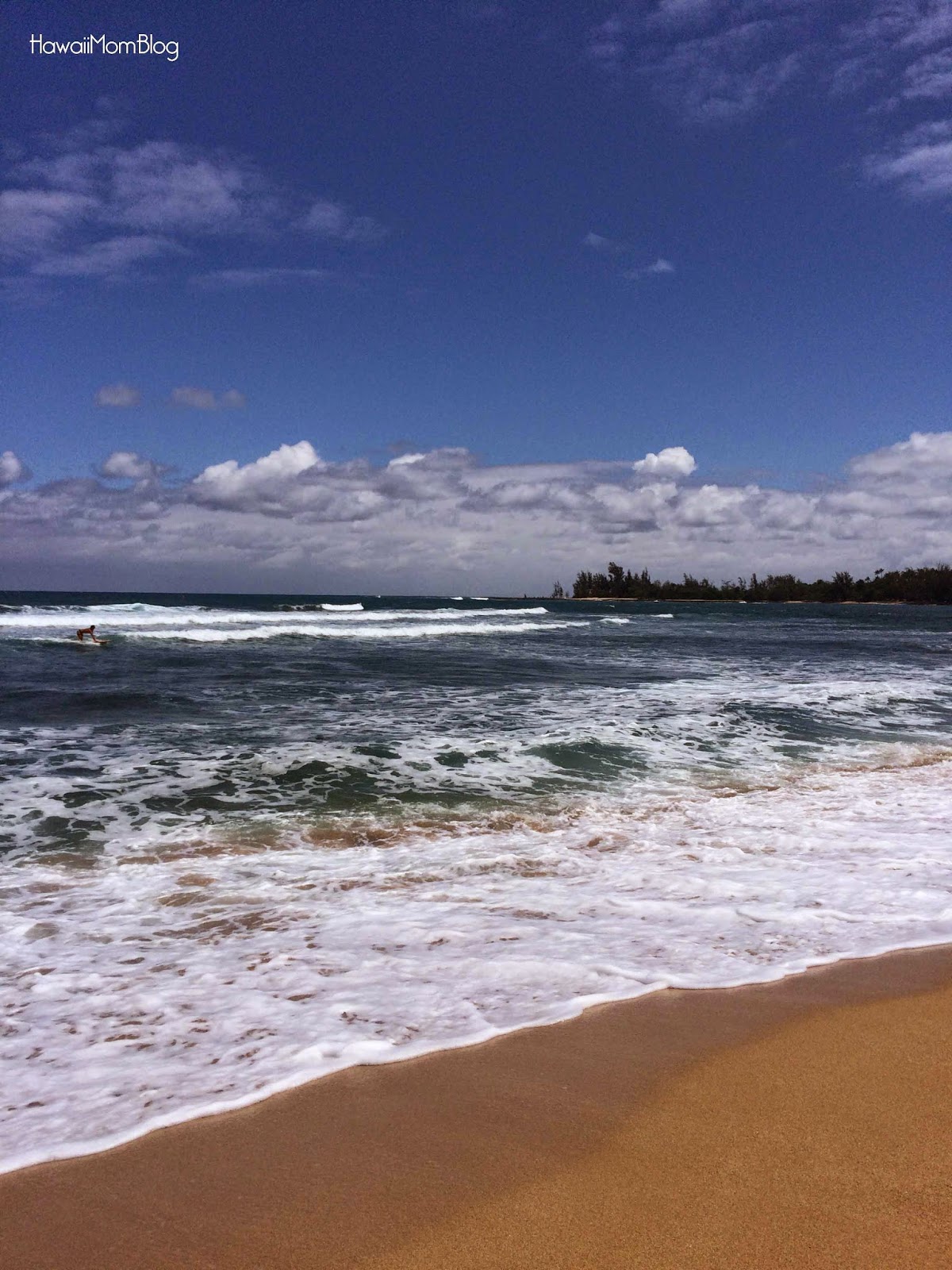 Hawaii Mom Blog: A Day at Haleiwa Ali`i Beach Park