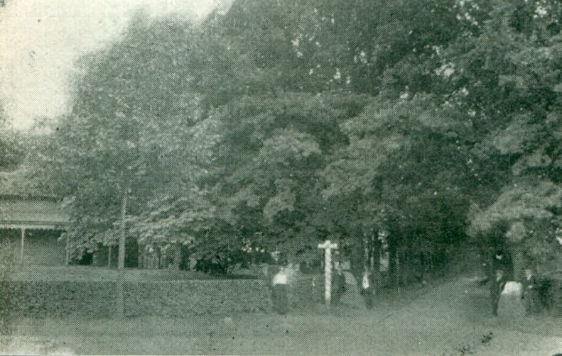 Overijssel - Plaatsbeschrijvingen 1880-1940: Gids voor Twente (1917 ...