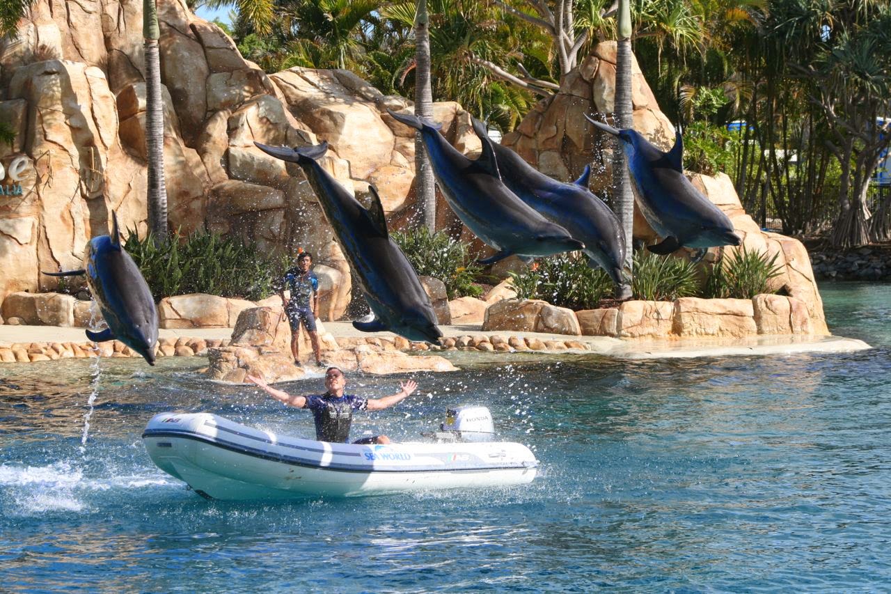 Sea World - Gold Coast, Queensland, Australia