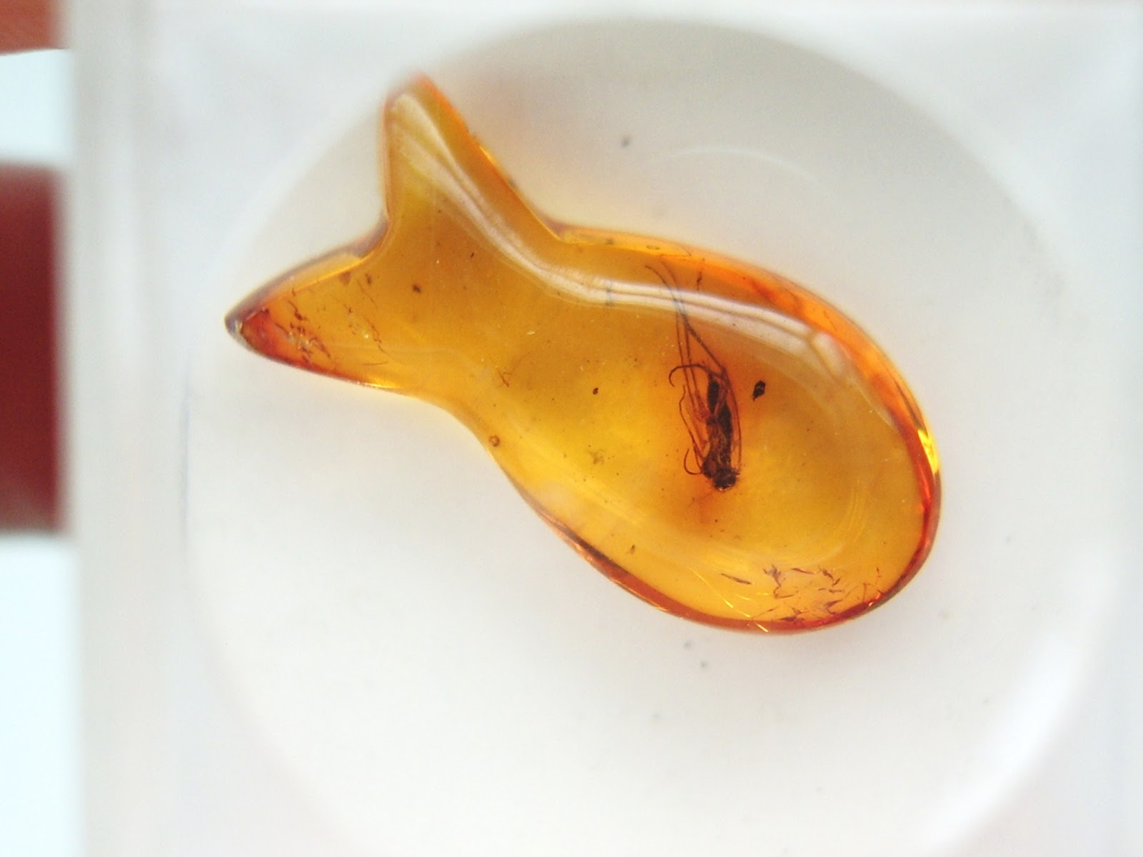 Consigli Preziosi: Ambra