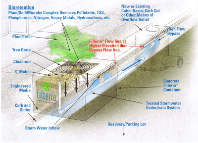 Charles River Watershed Association: Bioretentions