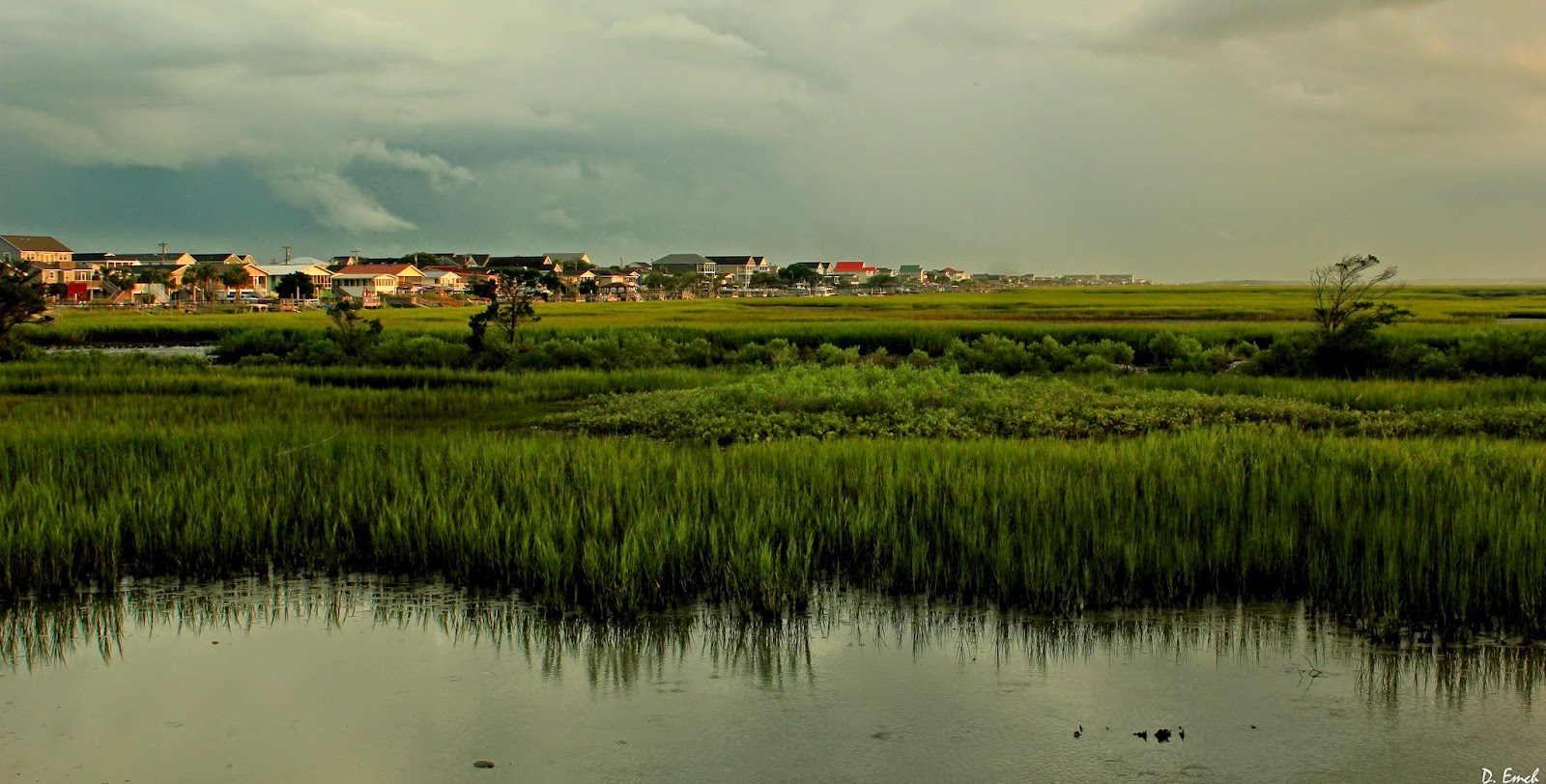 Capture America Journal: Best of the Low Country 7/17/14