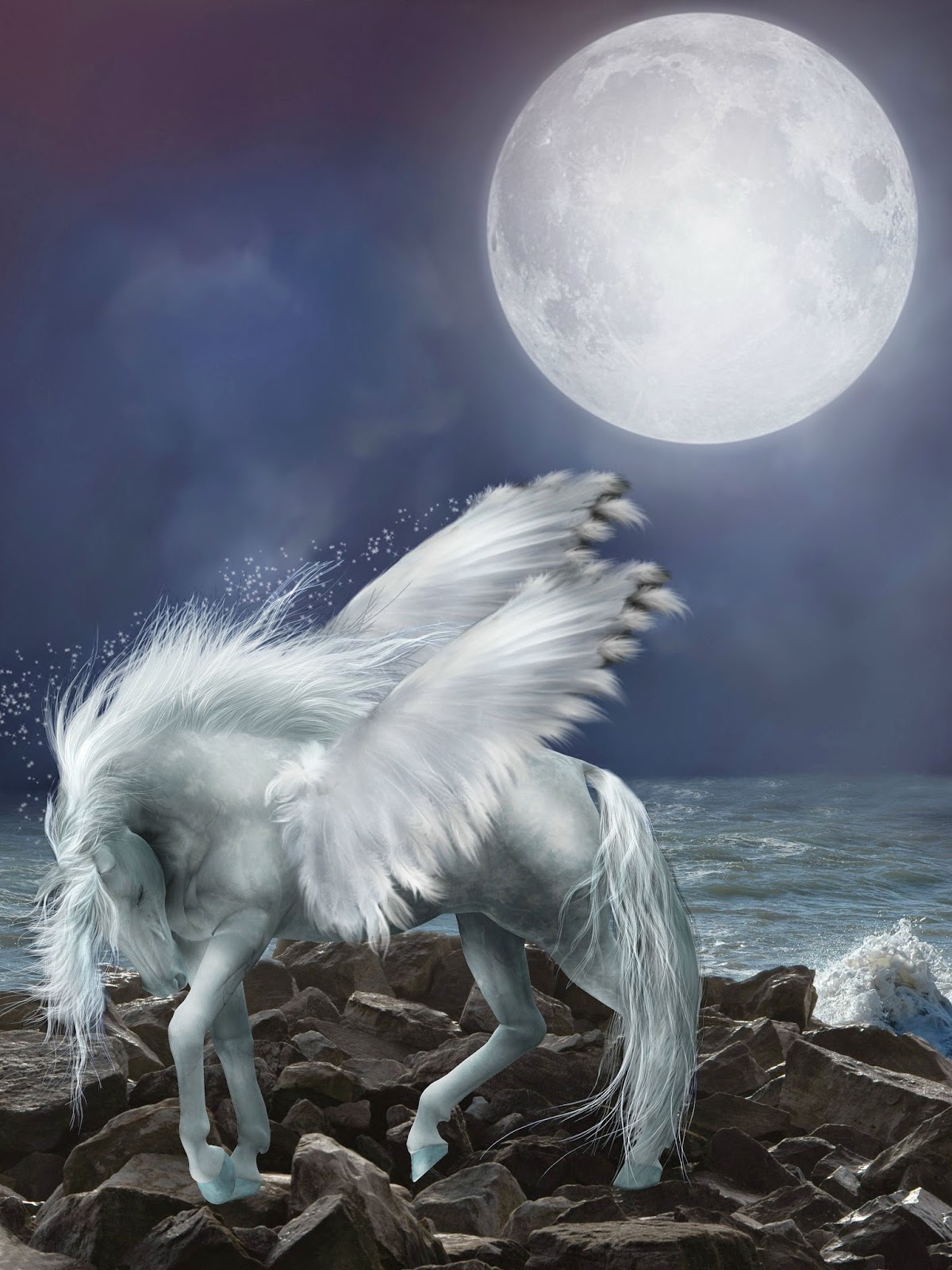 Doctors With Reiki: Healing With Pegasus