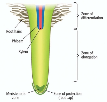 Leaving Cert Biology