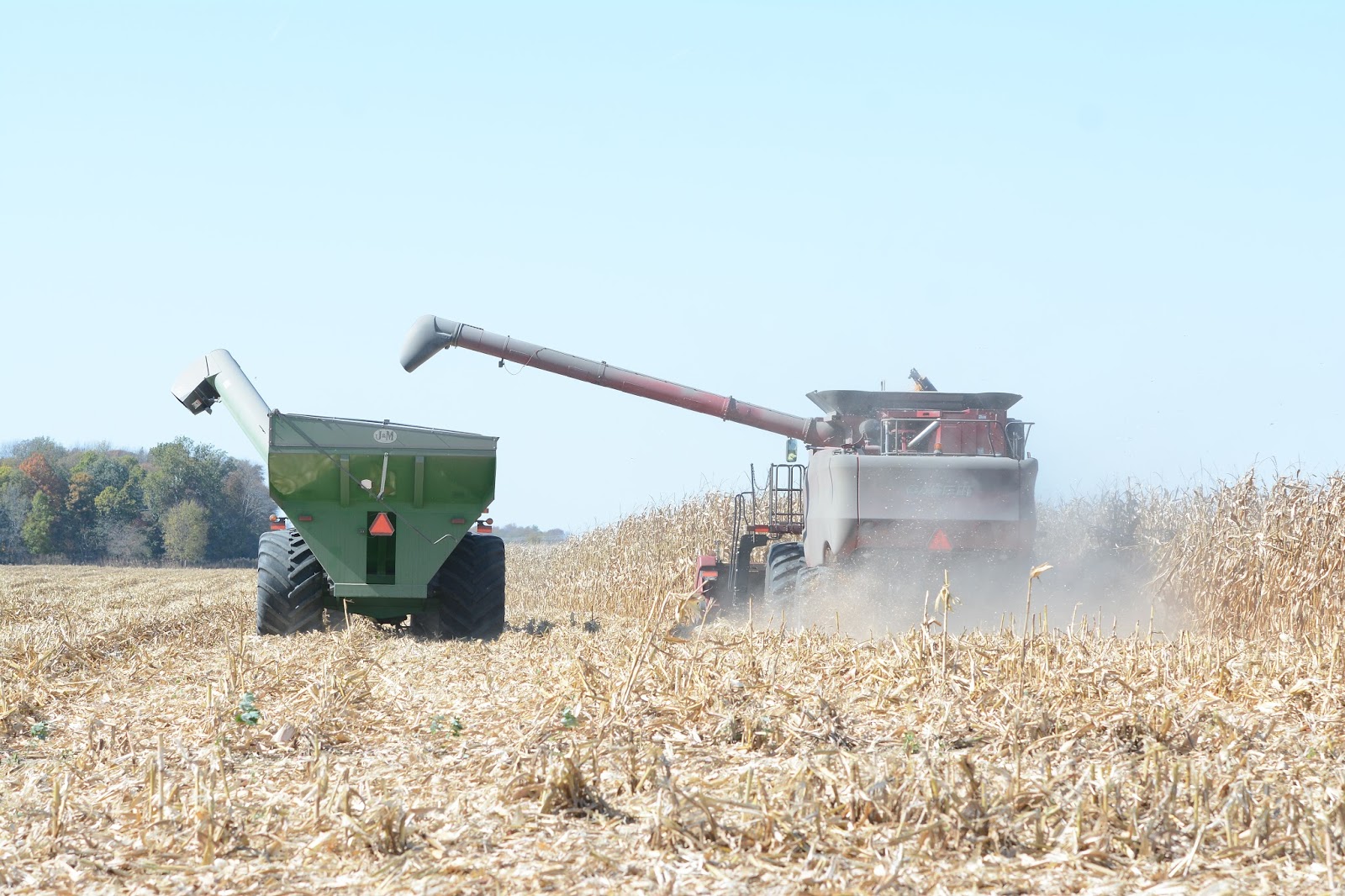 This Farm Family's Life: What is Chopping Silage and Why Do You Leave ...
