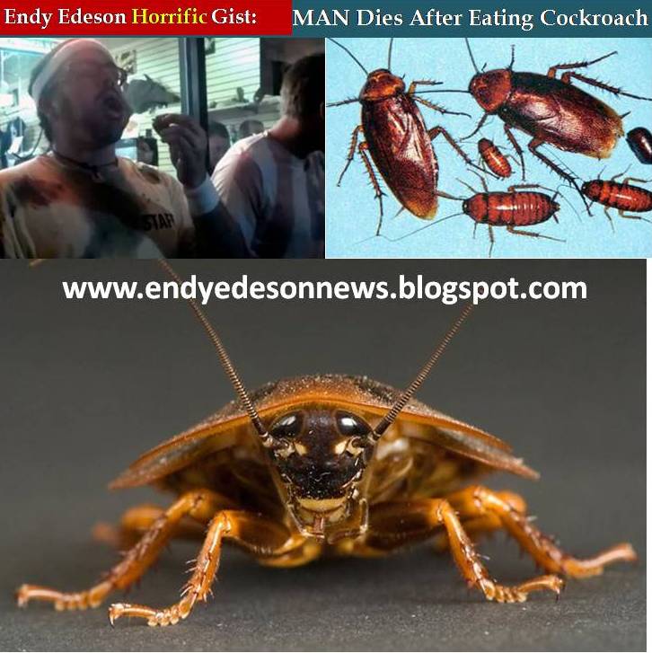 Edeson Online News: MAN Dies After Eating Cockroach During 'Insect ...