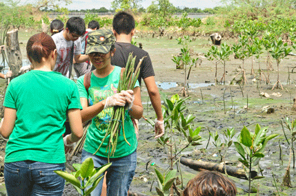 Likasyaman: Navotas Marine Tree Park