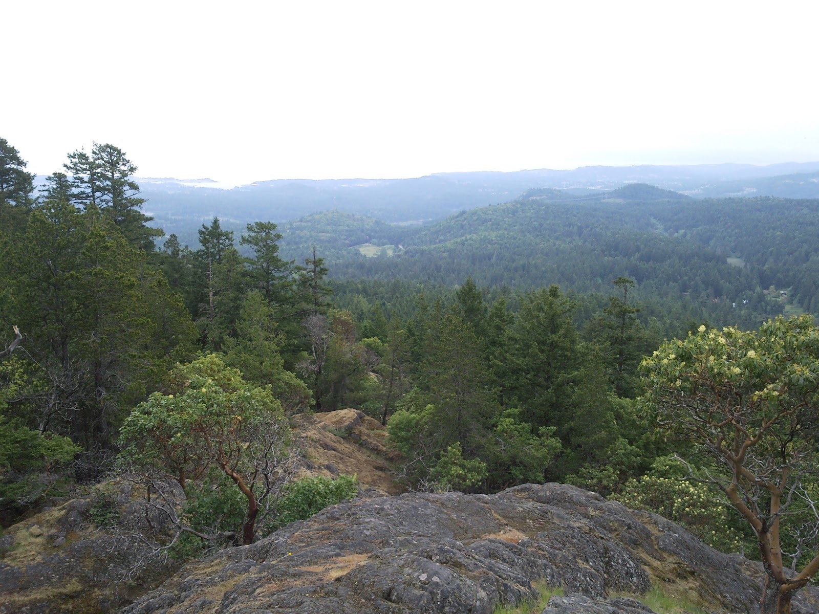 Mel's Daily Dose: May 21...Mt.Work hike