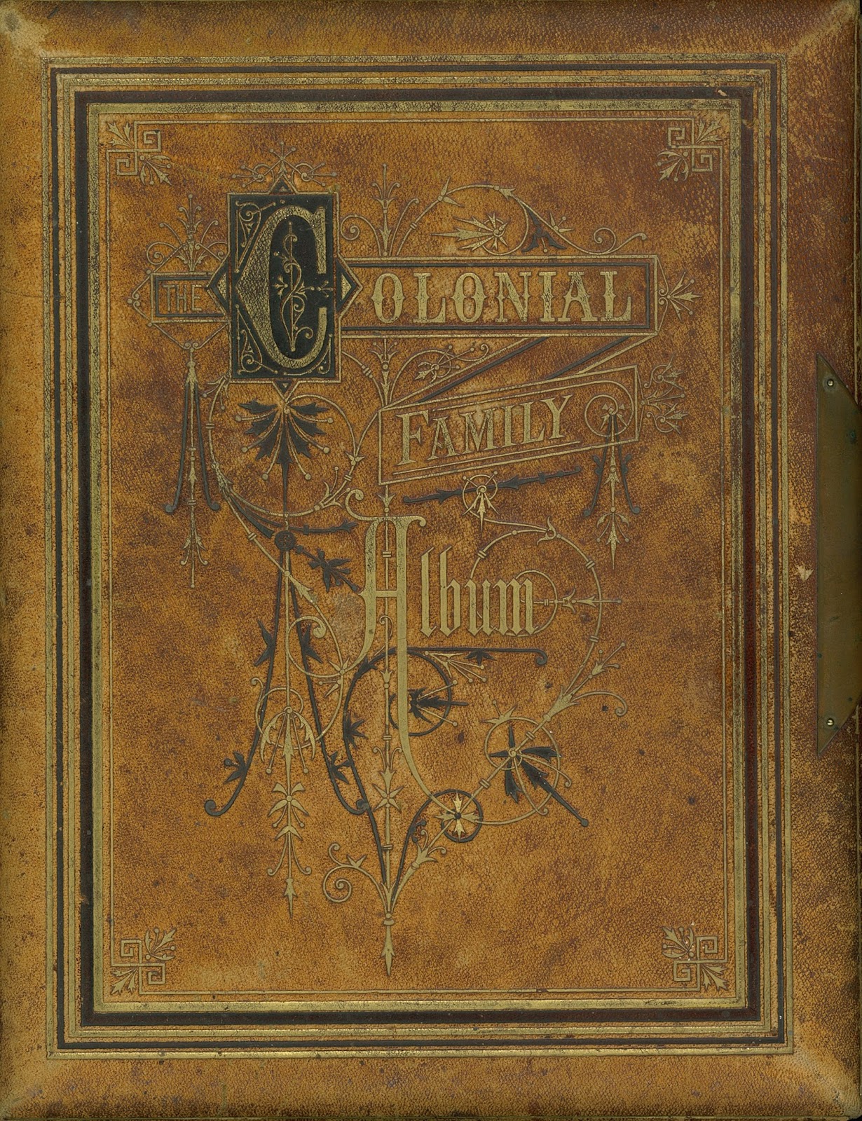 Early New Zealand Photographers: Tennant Album