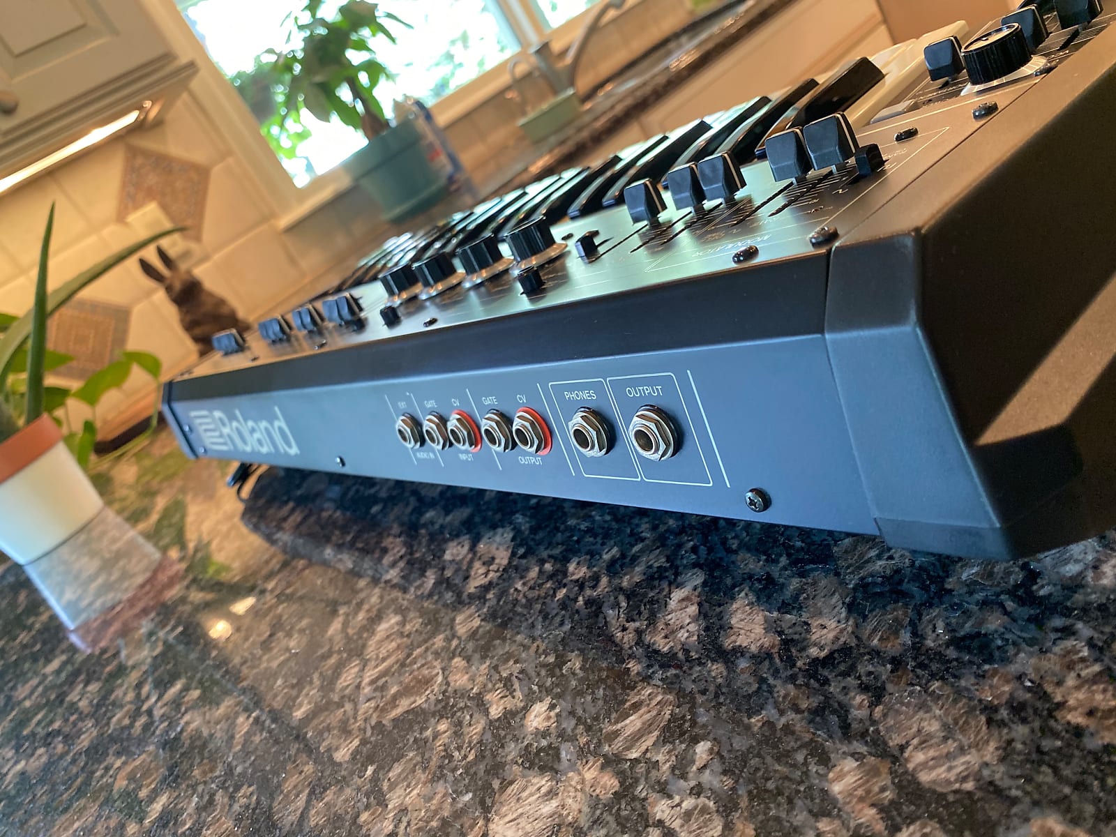 MATRIXSYNTH: 1978 Roland SH-2 with Original Box
