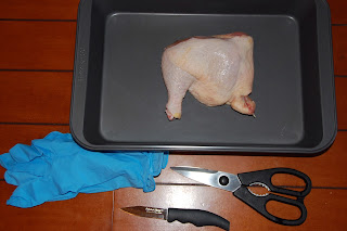 Bio 156 Experience: Chicken Leg Dissection