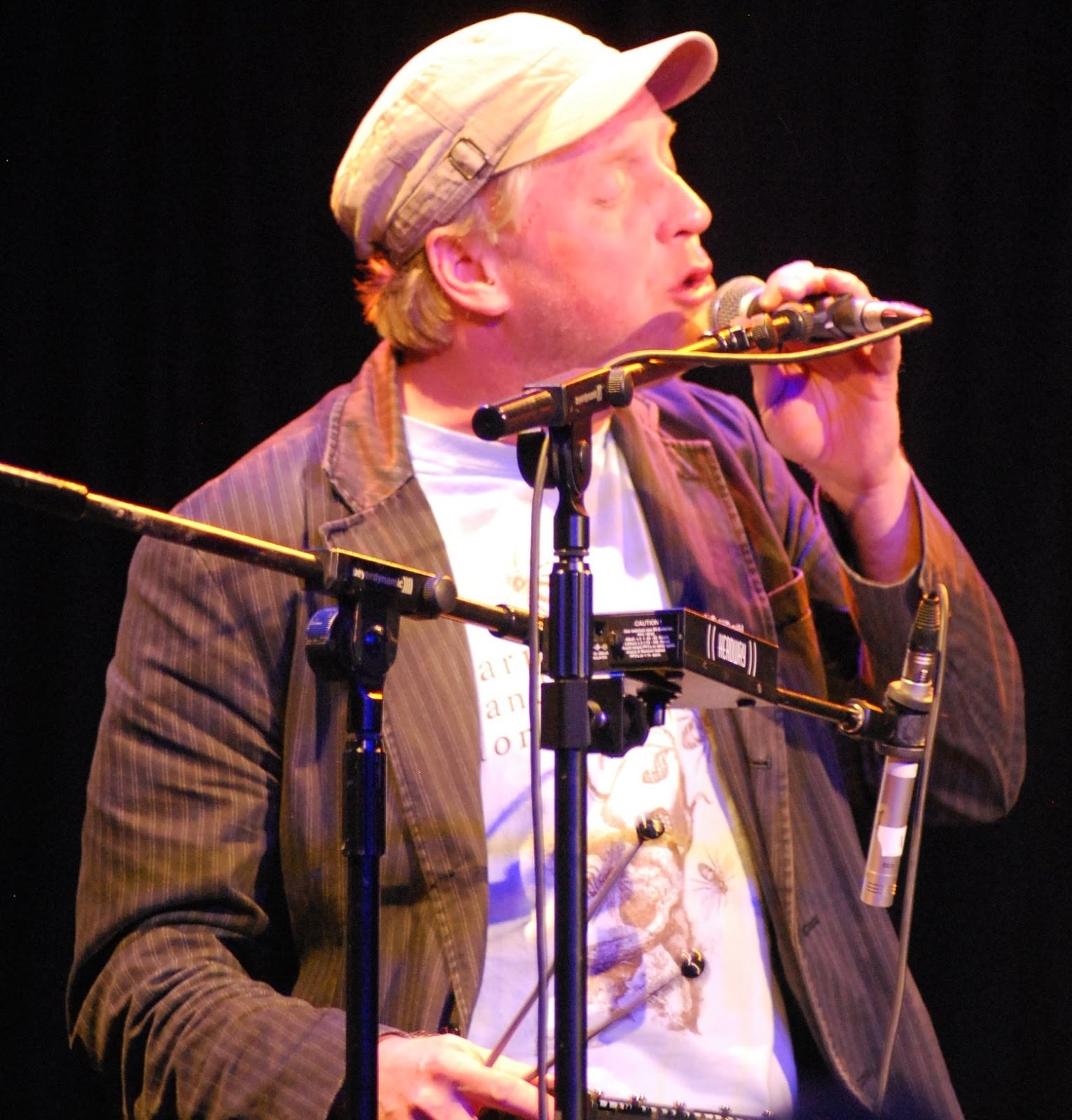 Folk All: HARP & A MONKEY