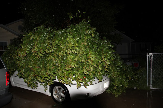 Living Creatively: May 2011