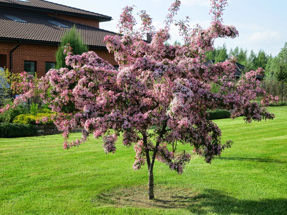 ajakaja: Hüvasti, kevad!