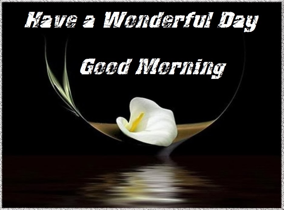 Stylish Gud Mrng Wishes, Have a Good Day Cards | Festival Chaska