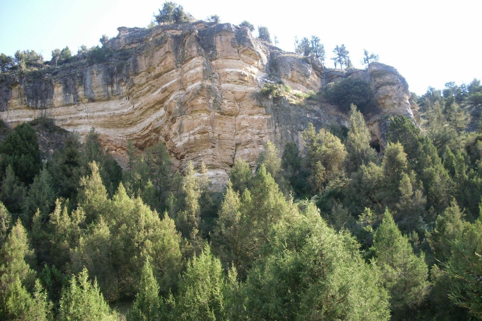 Carrascal del Río: RUTAS NATURALES