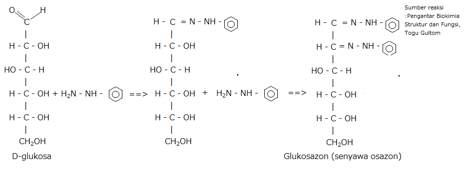 Macam Macam Cara Identifikasi Karbohidrat - Jegeristik