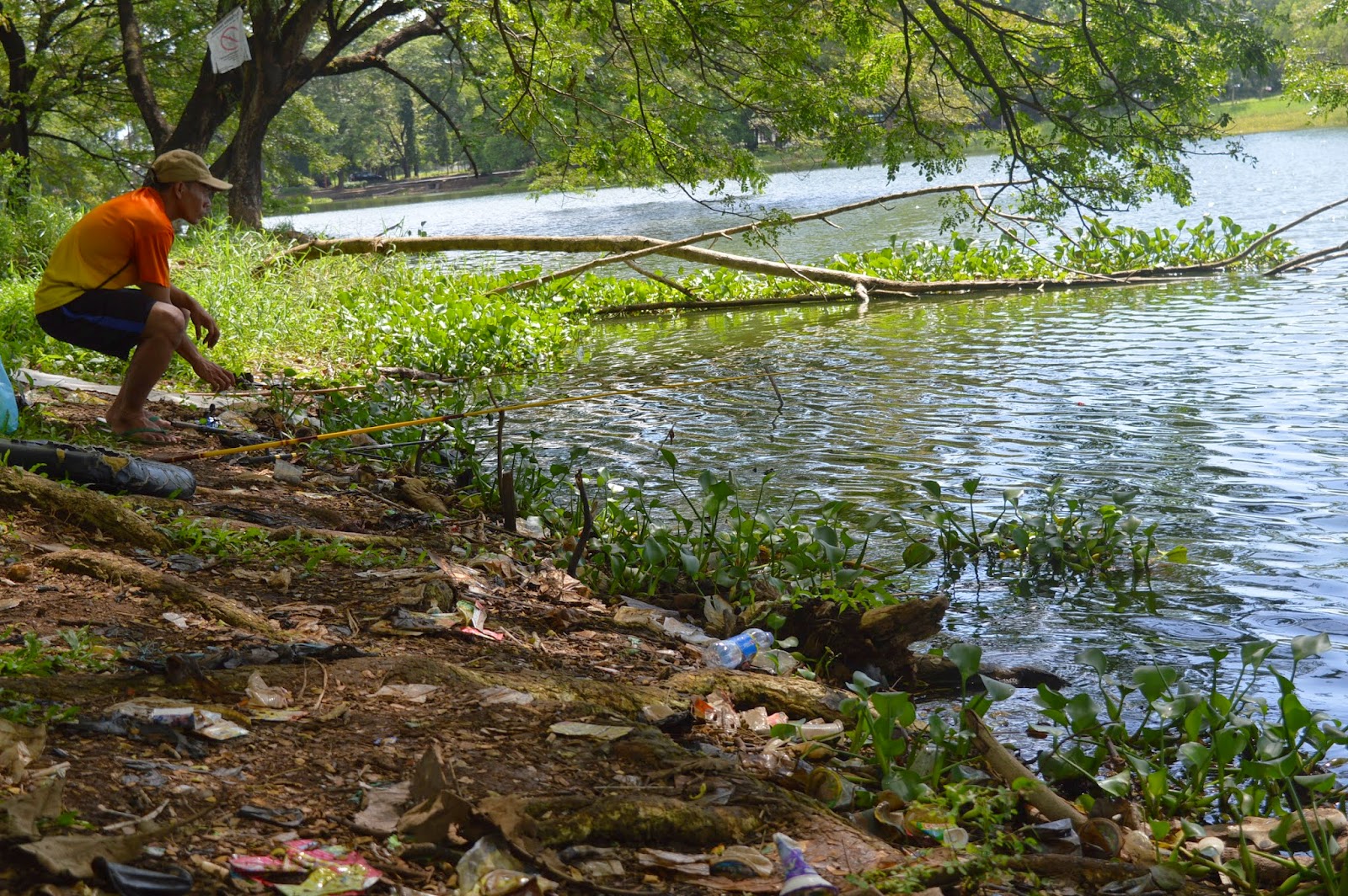 mozaik arsitek : Pesona Danau UNHAS