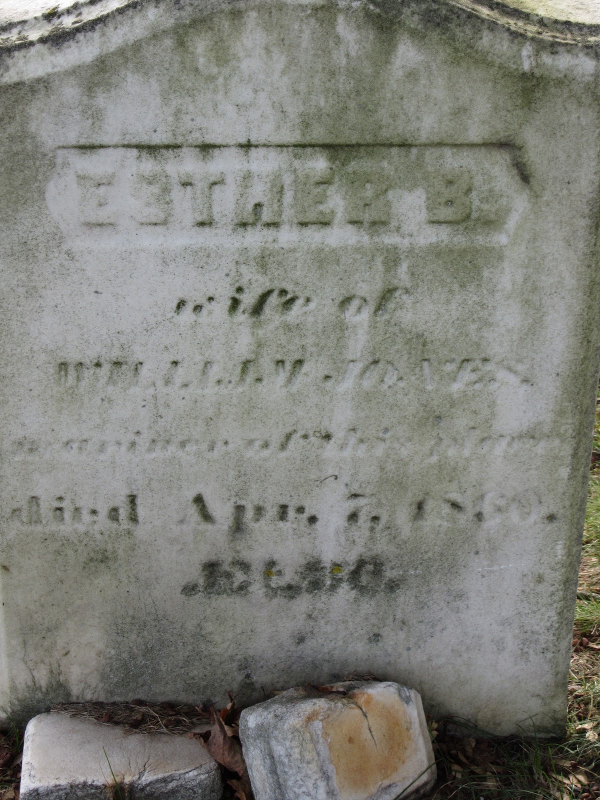 Old Blue Genes: The Mystery of Little Edwin's Grave
