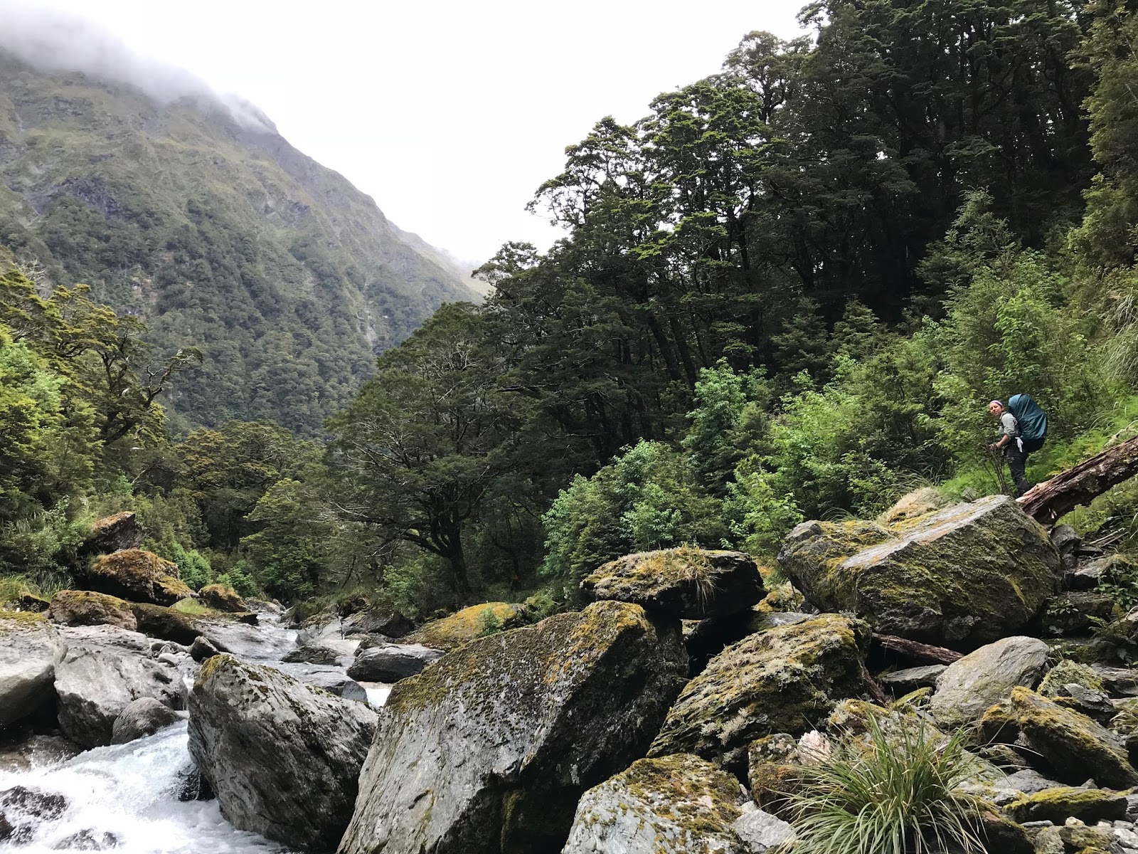 Tales of a Rambling Rover: Day 2: Young River Campsite to Young River Hut