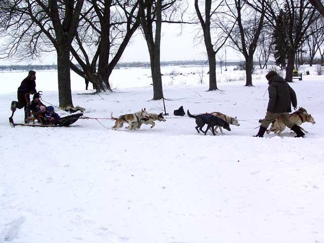 Coureurs de Bois Outdoors Club: Bon Soo Winter Carnival