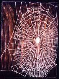 Vermont Dead Line: Spider Web Farm, Williamstown, Vermont