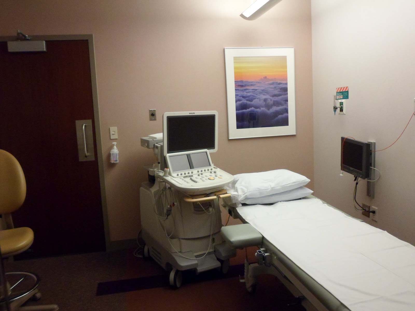 CVT Mohd Farid: The Sonographer Attachment Programme At USA Report ...