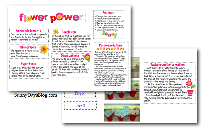 Science Fair Made Easy (and Free!) - Sunny Days in Second Grade