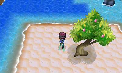 Turismo Pokémon: Connecting Cave, rota 8 (Muraille Coast), Ambrette ...