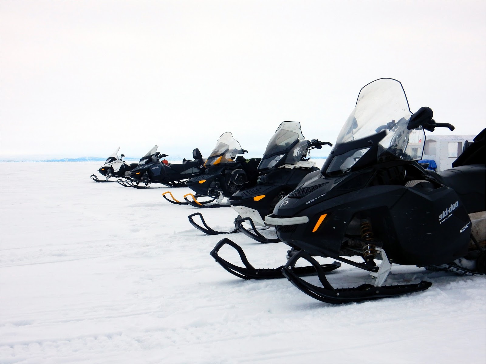 The Pocket: Operation Spring Fix 17 - Part 1