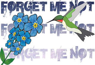 The Intricate Soul: Forget-me-not: A Flower to Remember